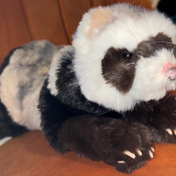 Made to Order! NOT in Stock! Weighted&floppy Realistic Ferret Plush ...
