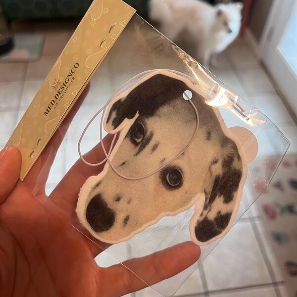 Rockets Svg, Rockets Mascot, Rockets, Mascot, Rocket, Team, Spirit ...