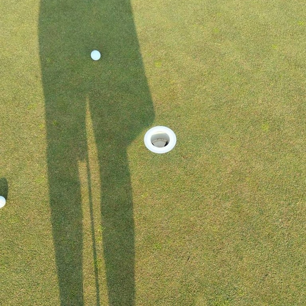 Golfers' Organizer - 3D Printed Golf Ball Bowl - Perfect Gift for ...