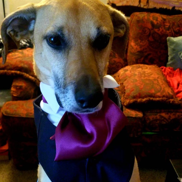 Dog Rugby Shirts. Dog Clothes. Dog Sweatshirts. Dog Outdoor Attire ...