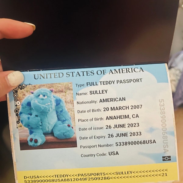 Teddy Bear Passport USA personalised Inc Photo - Etsy