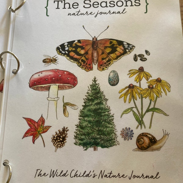 The Seasons – A Year of Nature Journaling - Charlotte Mason Homeschool ...