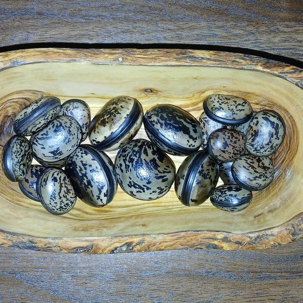 25 Grams of Red Seeds (adenanthera Pavonina) or Approximately 96 Seeds ...