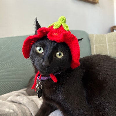 Adjustable Cute Crochet Soft Ribbon Kitten Collar Pet Costume Cat ...