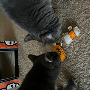 Bomb Pop Cat Toy Organic Catnip Wool-blend Felt - Etsy