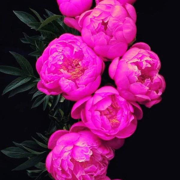 Turn Your Enemy Into Your Friend: Sigil Magick Grimoire Page | Enemies ...