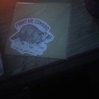 Fight Me Coward Raccoon Sticker, Raccoon Sticker Decal - Etsy