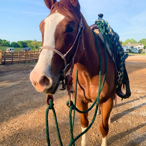 12' LEAD ROPE W/ Parelli Snap for Natural Horse Training - Etsy