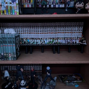 Shelf Riser for Displaying Two Rows of Books on a Single Shelf ...