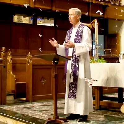 Ordinary Time Stole, Appliqued Tree on the Tree of Life Stole, Clergy ...