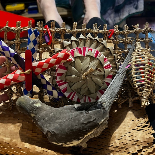 Sola Ball Fun - Hand Made Toys for Small to Medium Pet Birds Using Safe ...