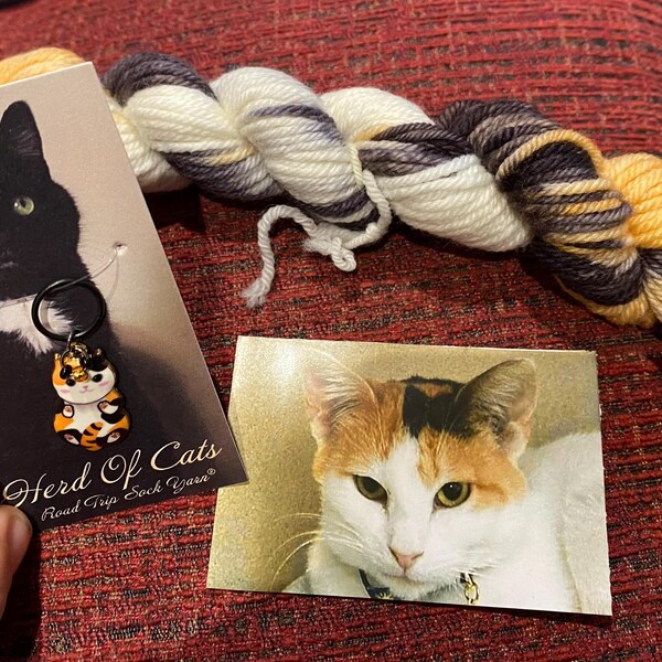 Toe Beans, Sock Club, 85/15 Superwash Merino/nylon Blend, 480 Meters ...