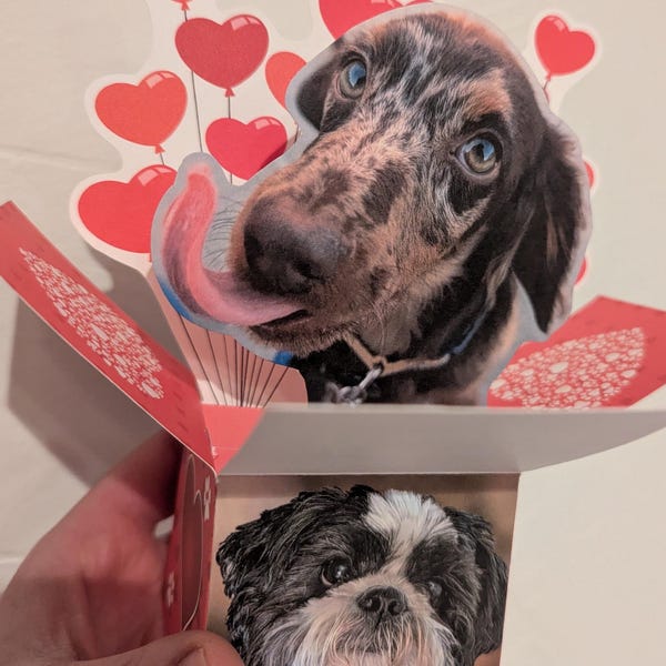 Father's Day Pet Pop-up Card | Dog Card, Photo Card, Greeting Card ...
