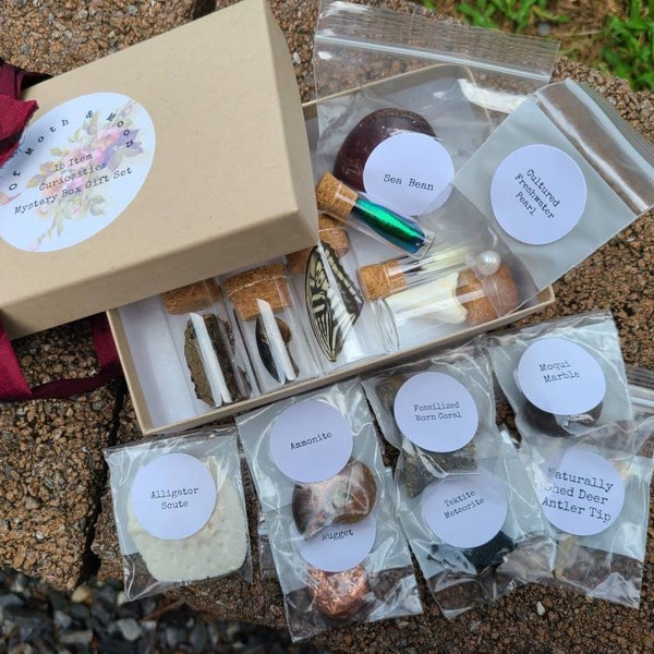 15 Item Curiosities Mystery Box | Real Animal Bones| Fossils & Minerals ...