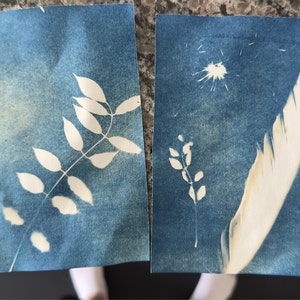 Cyanotype Kit Alice Stencils Sun Printing Kit Wonderland - Etsy