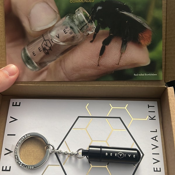 The Original Bee Revival Kit - Black Edition - Etsy
