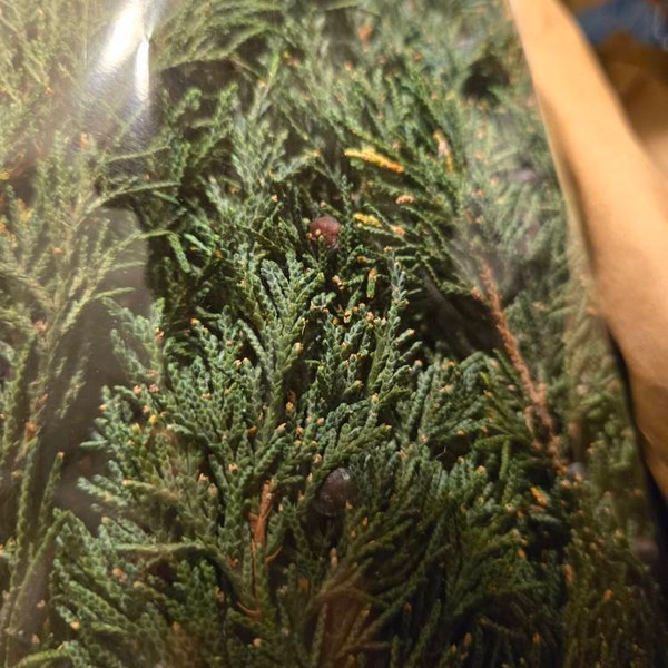 Fragrant Preserved Juniper Greenery: Winter Wreath Supplies - Etsy