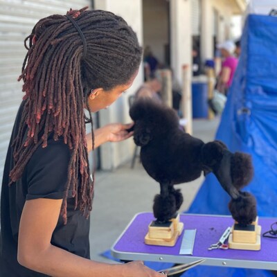 Show Dogs Stacking Blocks Small Medium and Large - Etsy