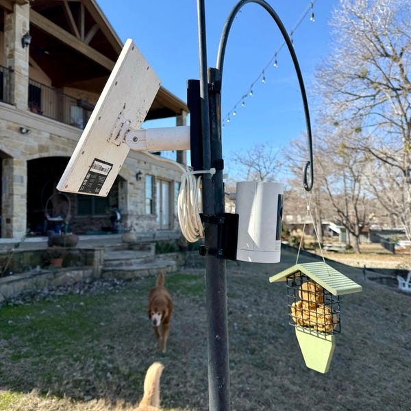 RING Stick up - Tree Mount - Etsy