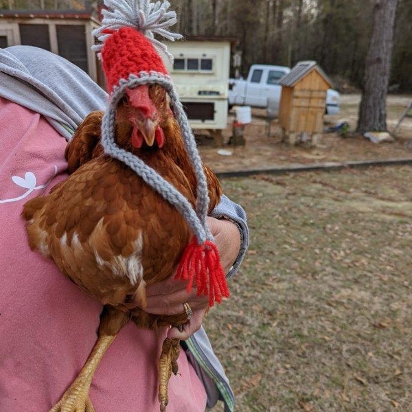 Chicken Hat Crochet Pattern / Chicken Hat / Crochet Chicken Hat ...