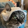 Brunhilde Vikings Valkyries Wagner Opera Hats for Cats - Etsy Canada