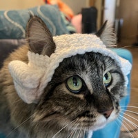 Brunhilde Vikings Valkyries Wagner Opera Hats for Cats - Etsy Canada