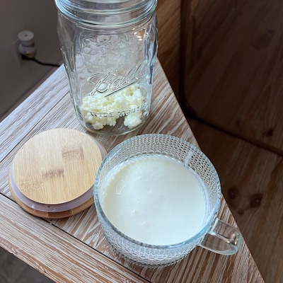 Milk Kefir Kit, Make Your Own - Etsy