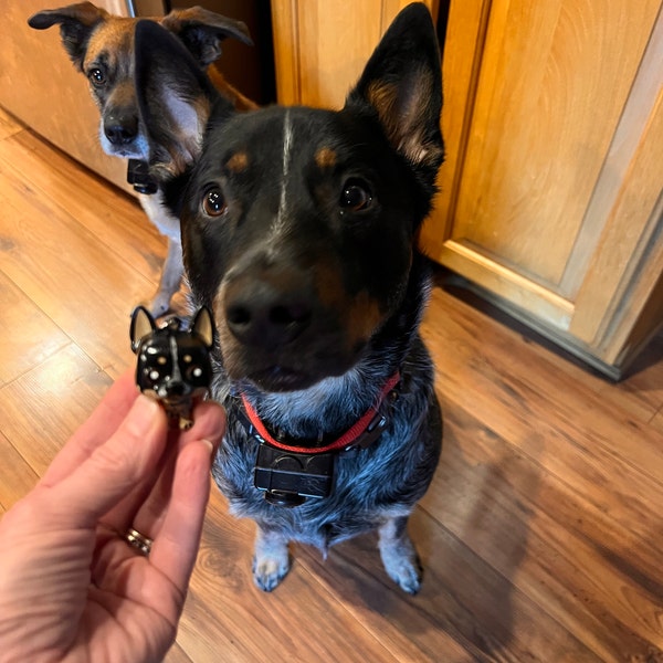 Custom Australian Cattle Dog Figurine, Heeler Art, Queensland Heeler ...