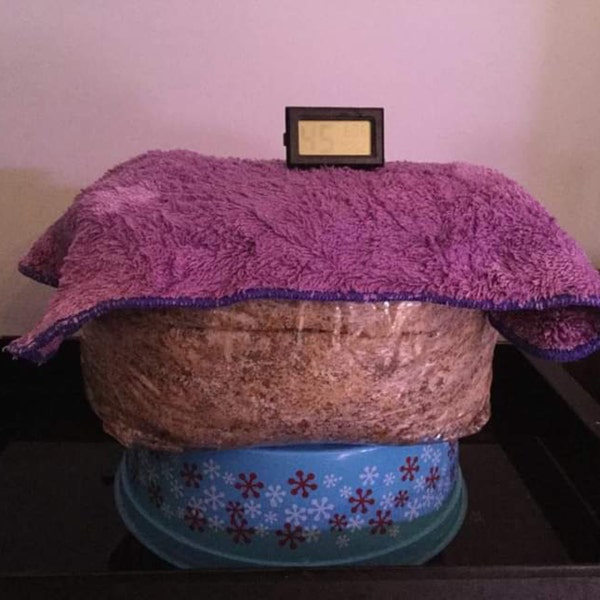 Two 6lb Masters Mix Substrate Blocks, Steam Sterilized - Etsy