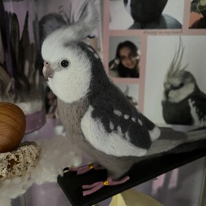 Cockatiel 1 :wool Parakeetstuffed Animals - Etsy
