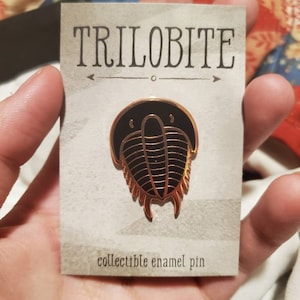 Trilobite Enamel Pin - Etsy