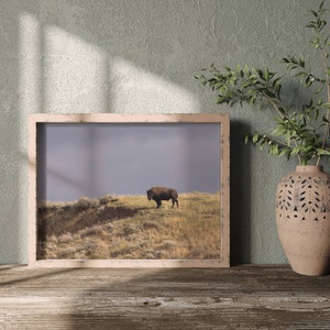 Round Frame Mockup. - Etsy