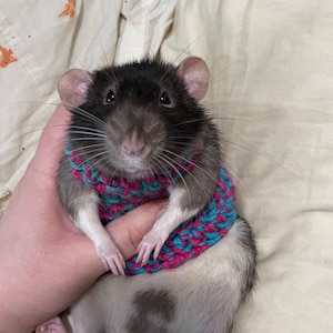 Cutie Rat Sweater Pattern - Etsy