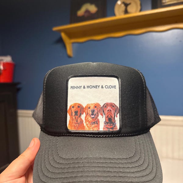 Bible Verse Trucker Hat | Isaiah 40:31 | Patch Hat | Foam Mesh Trucker ...