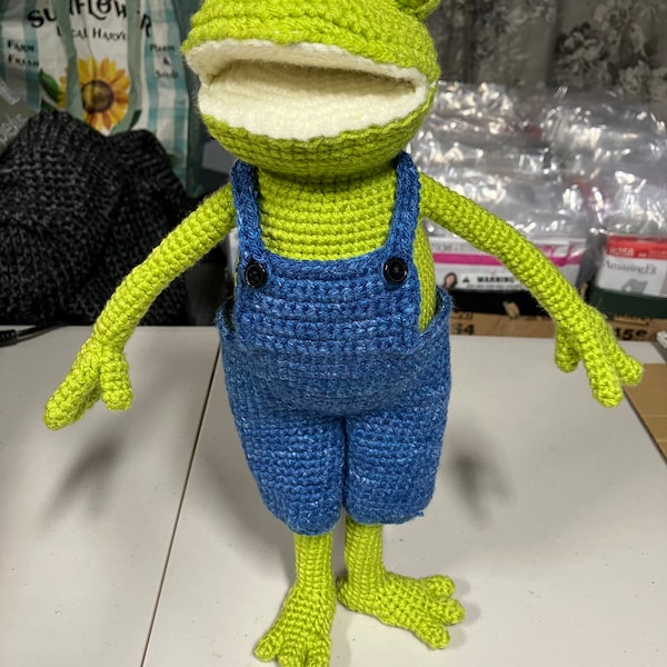 Frog Outfit Crochet Pattern - Etsy