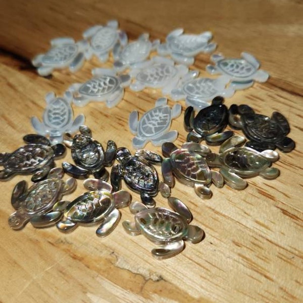 Abalone Carved Sea Turtle Shell Single Bead - 20mm - Itty Bitty Bead ...