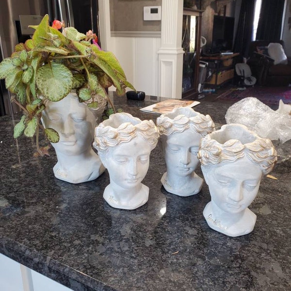 Personalized Greek Goddess Head Planter: Cement Woman Bust Face Pot ...