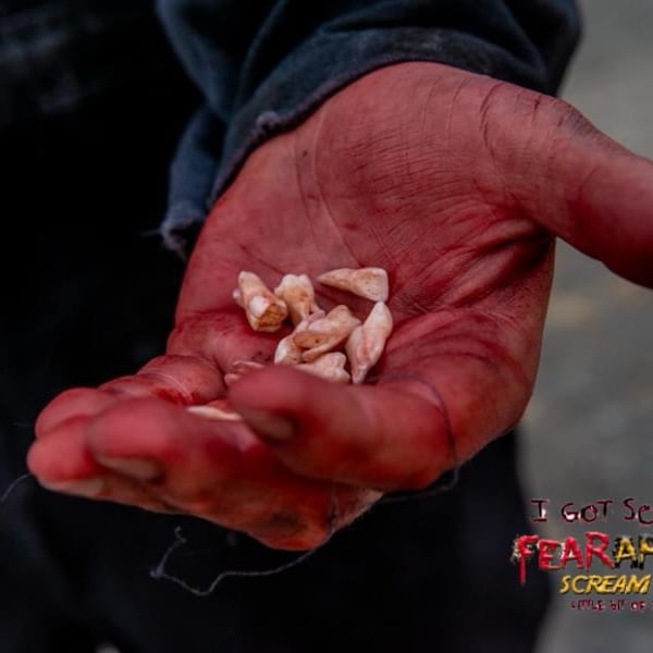 28 Resin Teeth. Realistic Morbid Human Tooth Set.full Grown - Root ...