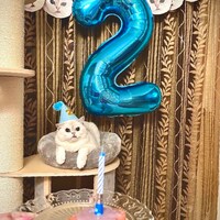 Custom Cat Photo Banner Cat Birthday Banner Pet Photo Banner ...