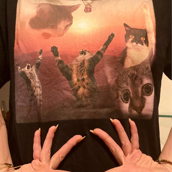 Funny Cat Meme T-shirt, Cats Dank Memes Tee, Freaky Unhinged Tshirt ...