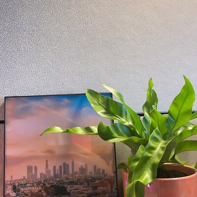 Gramercy Park Photo Poster Print, Gramercy Park Black and White Art ...