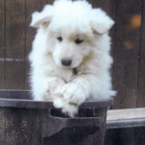 Fake Product Box for Pranks Practical Jokes Revenge Send - Etsy