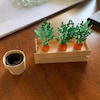 Mini Carrots and Garden Box DIY Template Rolled Papercraft Vegies and ...