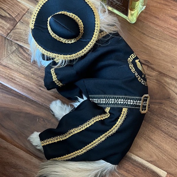 Handmade Mariachi Dog Costume With Sombrero: Cinco De Mayo Outfit - Etsy