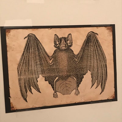 Victorian Bat Illustration Aged Reproduction Art Print A4 Size. - Etsy