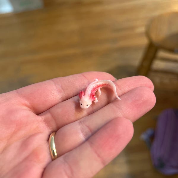 1:6 Scale Miniature Axolotls Dollhouse Amphibians-fashion Doll or Elf ...