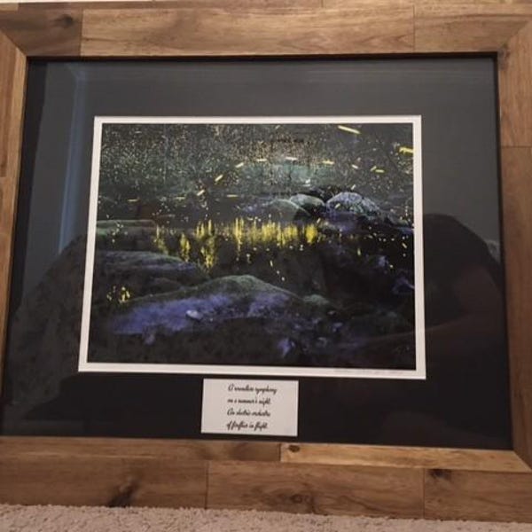 Reflections - Photo of Fireflies, Lightning Bugs, Synchronous Fireflies ...