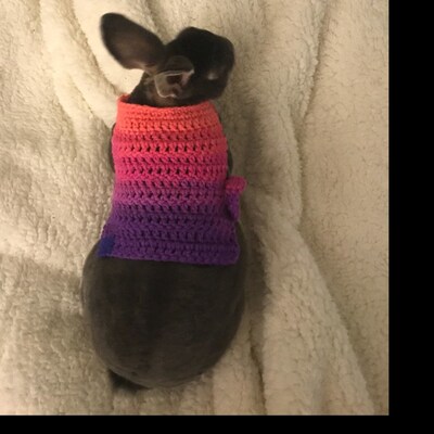 Rabbit Clothes, Rabbit Sweater, Rabbit Costume, Sweater for Bunny ...