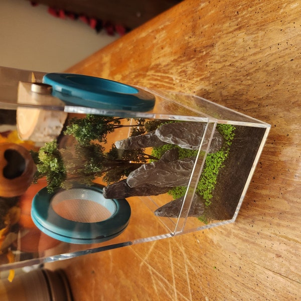 4 CM Mini Buddha Statue Miniature Cute Little Buddha Statue Tiny Monk ...