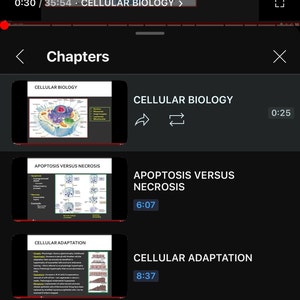 Best SOAP Note Template 2 Pages and 2 Bonus Pages With Guidelines for ...